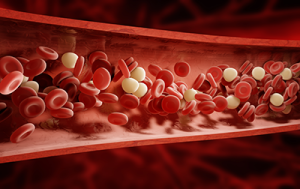 Arginine (L- Arginine) - Learn How It Can Help You - Tikva