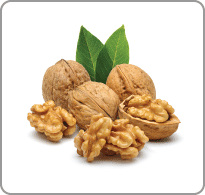 walnuts - Tikva